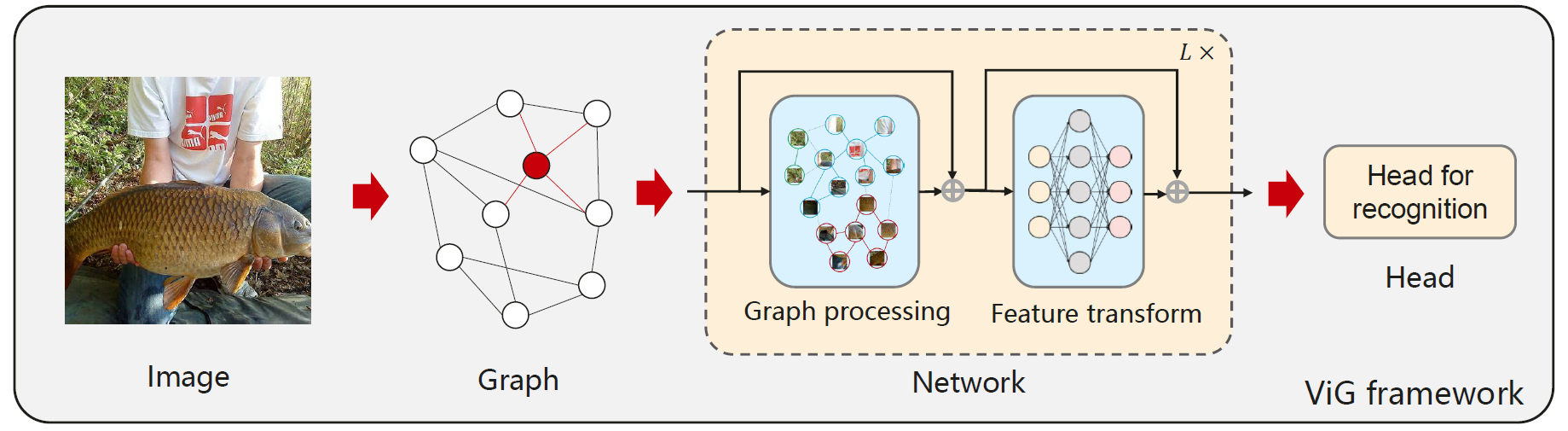 グラフ構造を用いたコンピュータビジョンモデル「Vision GNN」 | AI-SCHOLAR | AI：(人工知能)論文・技術情報メディア